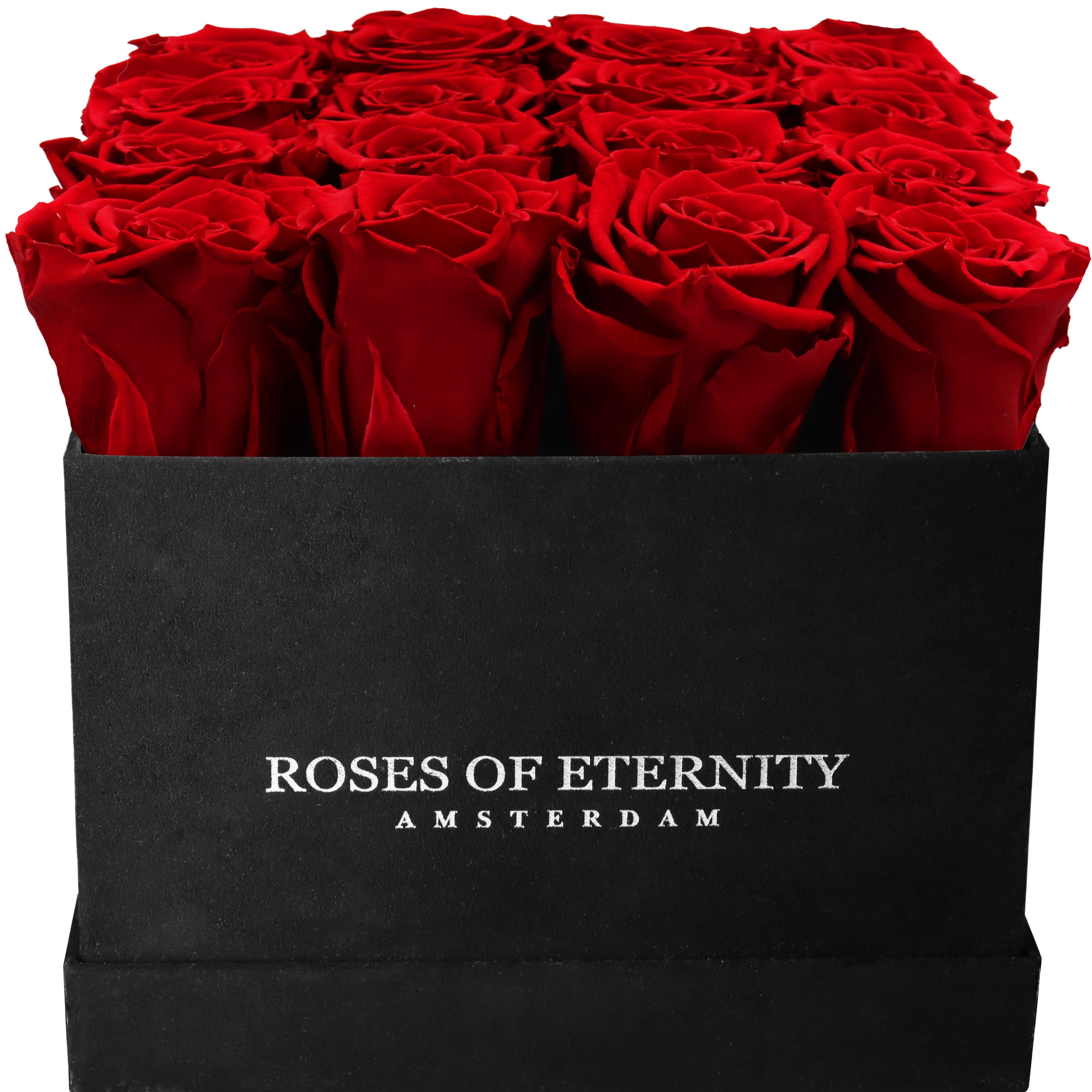 Squared Eternity (M) – Roses of Eternity